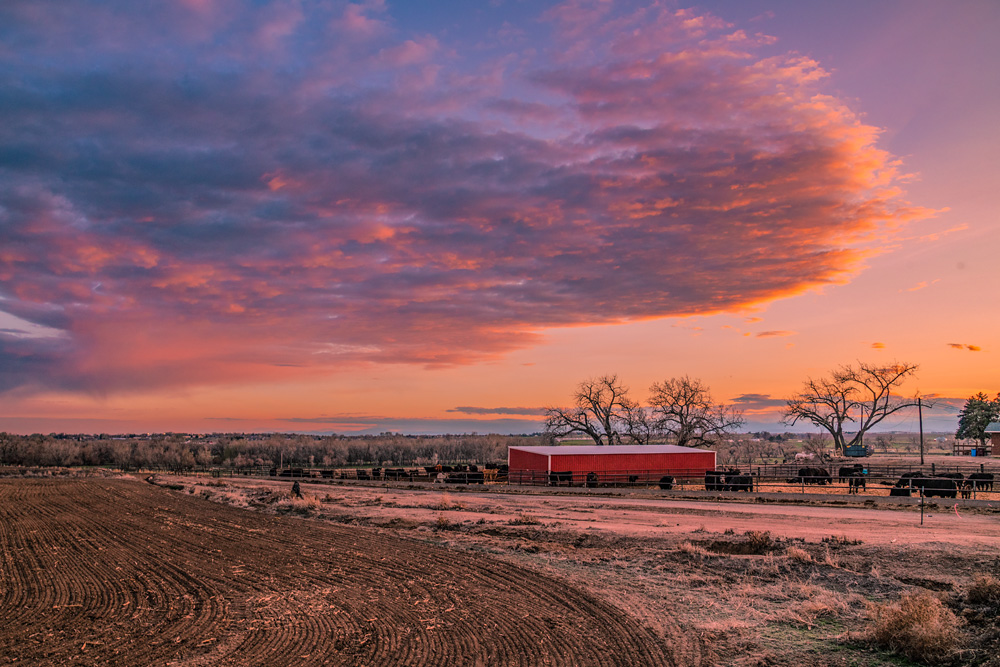 Colorado Farm Series - Curves | Focal World