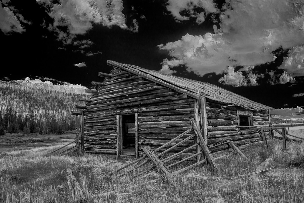 Desolate | Focal World