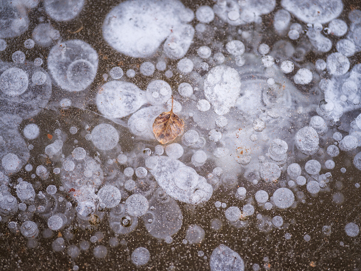 Eardley Canyon Ice | Focal World