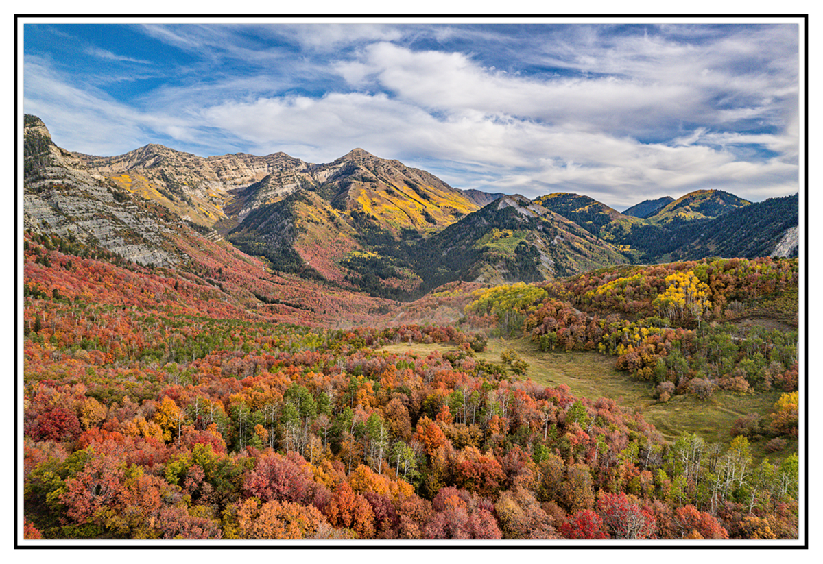 Colorful Hills | Focal World