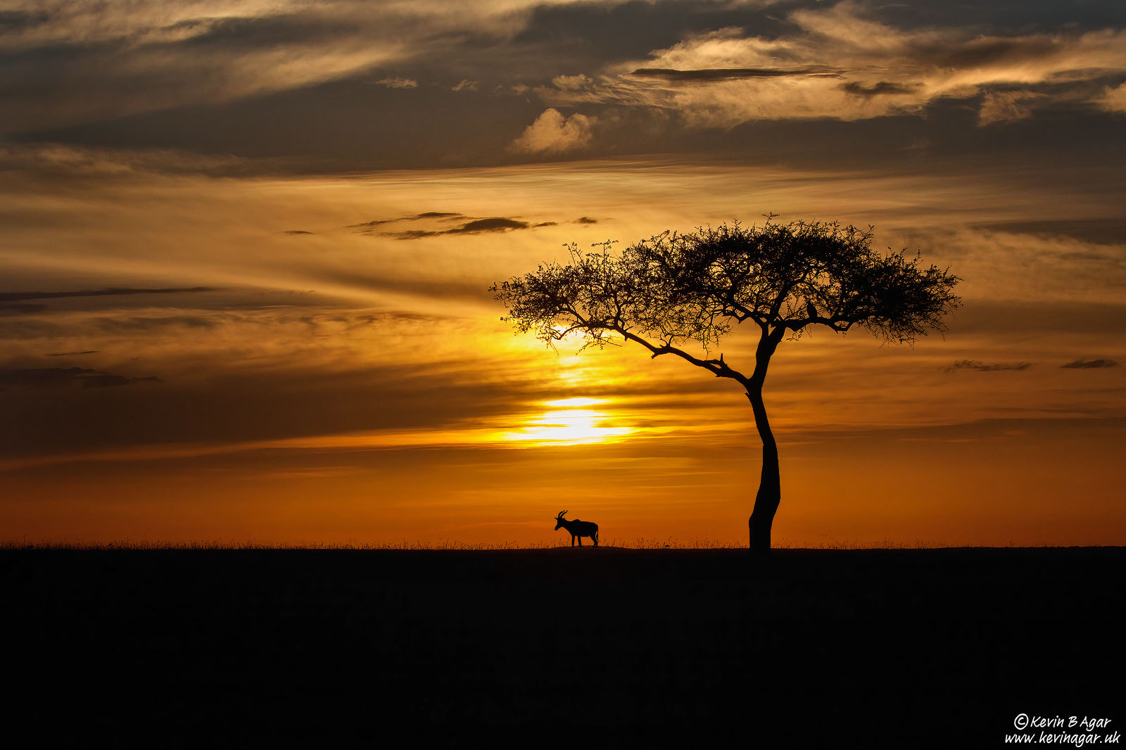 African Sunset | Focal World