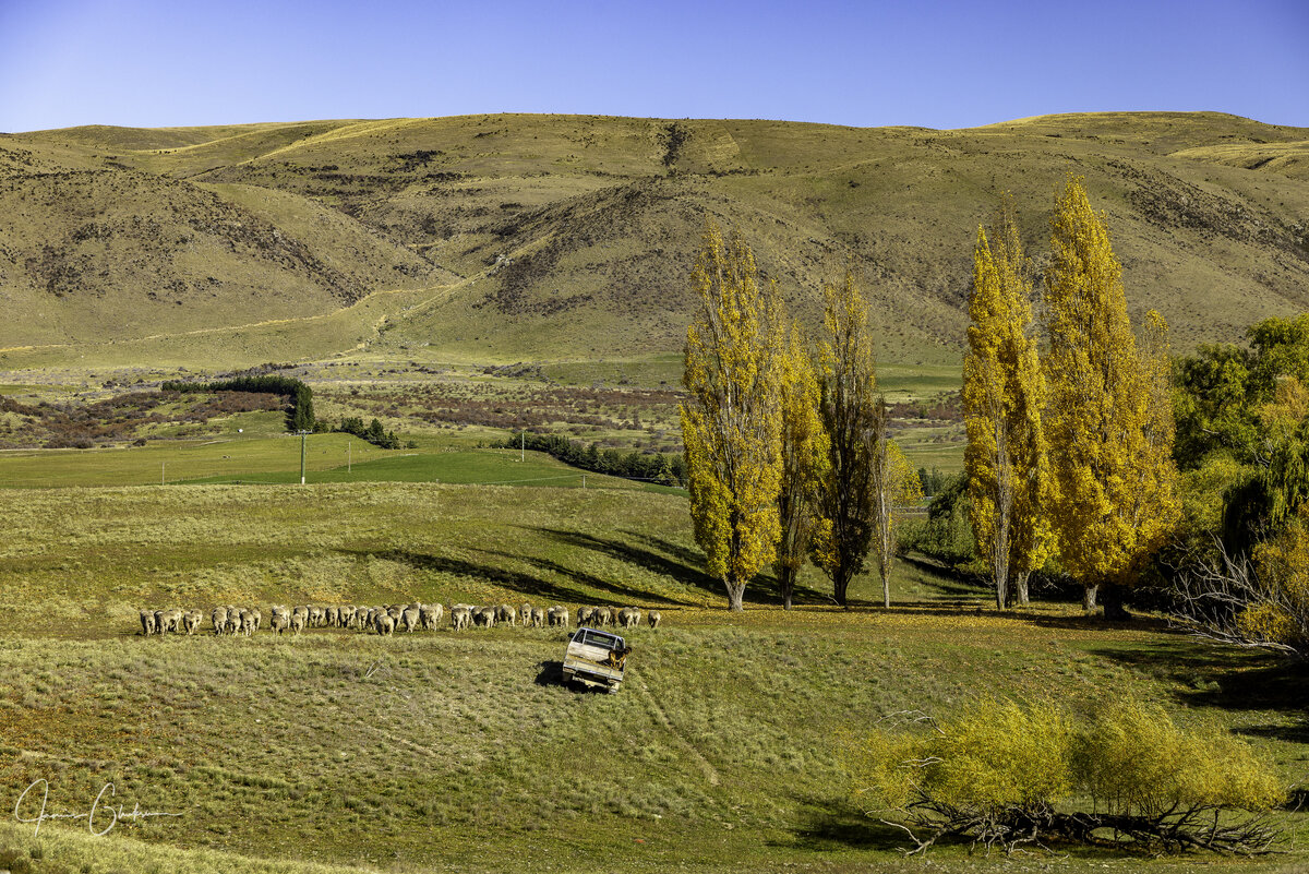 Autumn in the Waitaki Valley/Mackenzie Country, New Zealand | Focal World