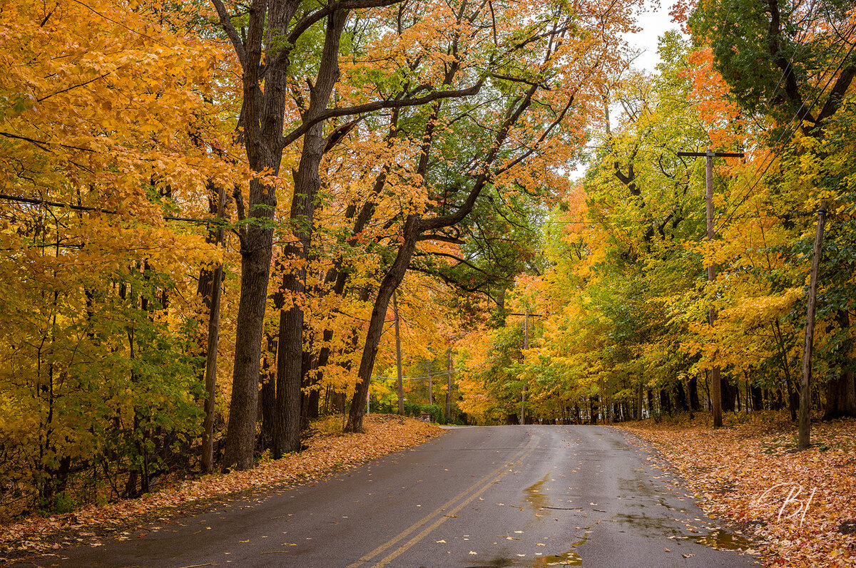 Fall Color Updates - 2022 | Focal World