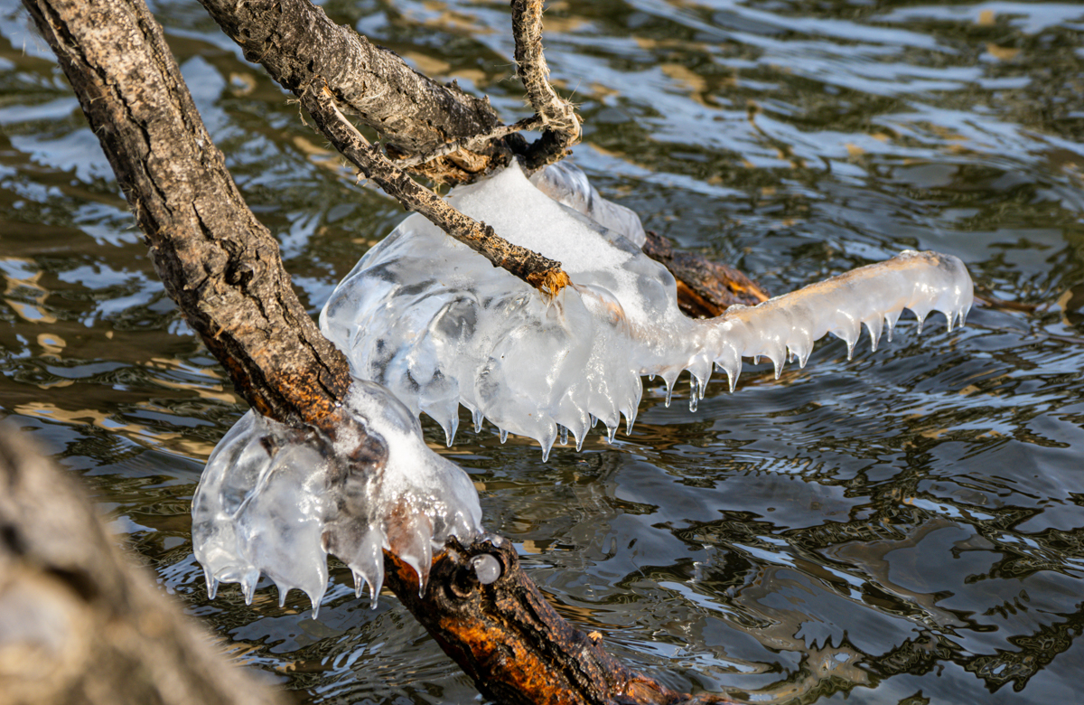 River Ice. | Focal World