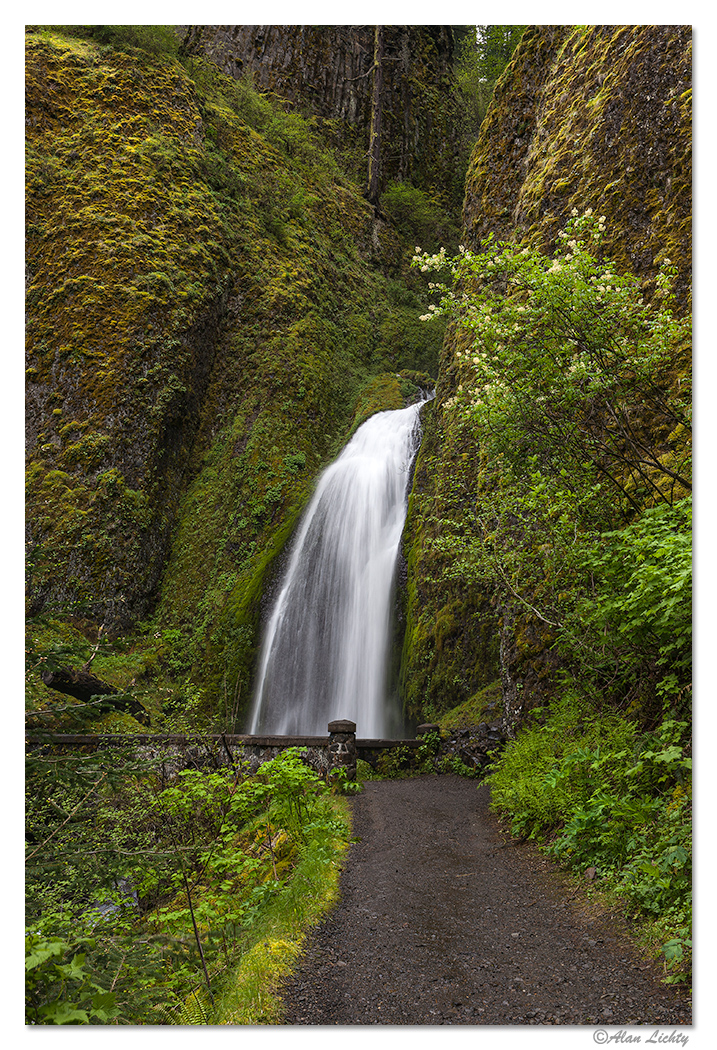 Waterfall Wednesday 4/5/23 | Focal World