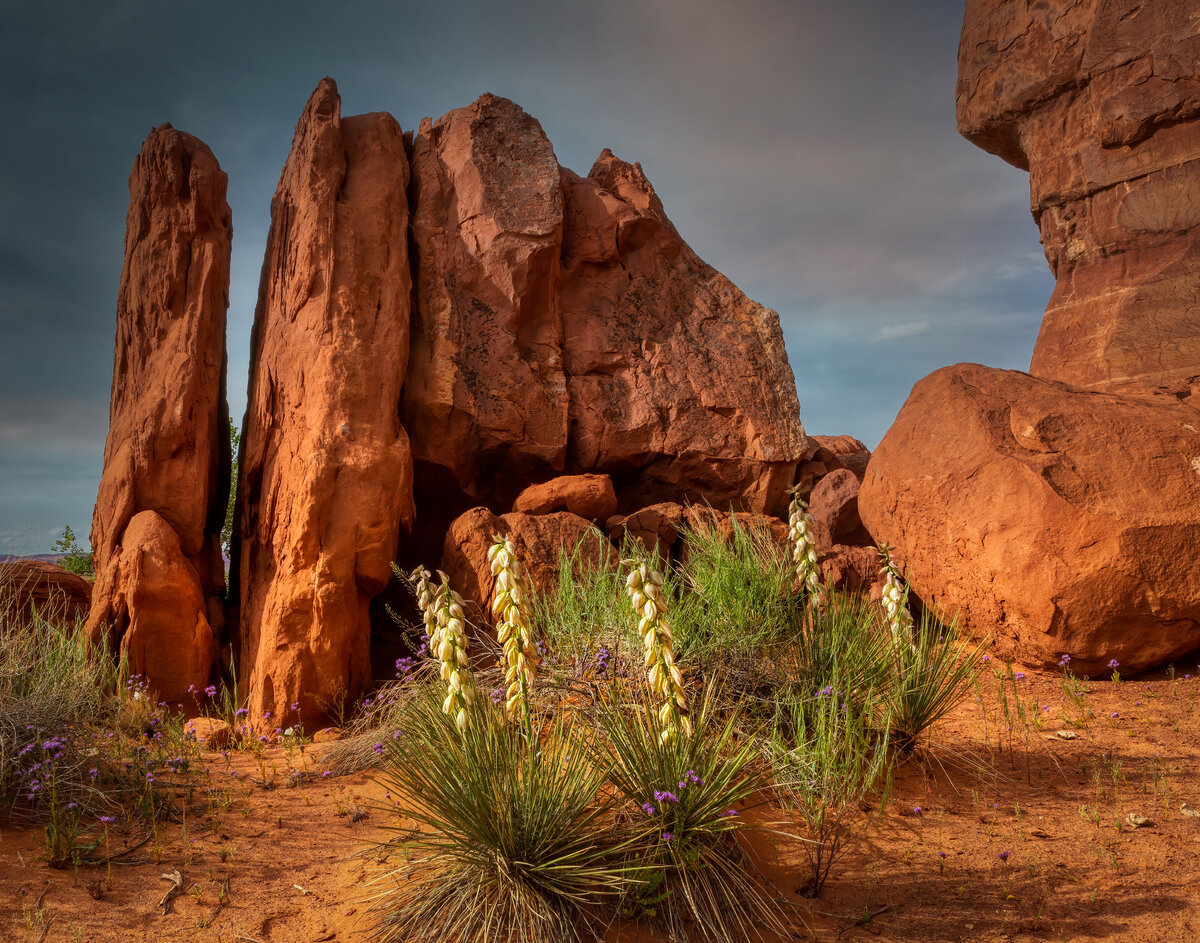 Red Rocks and Yuccas | Focal World